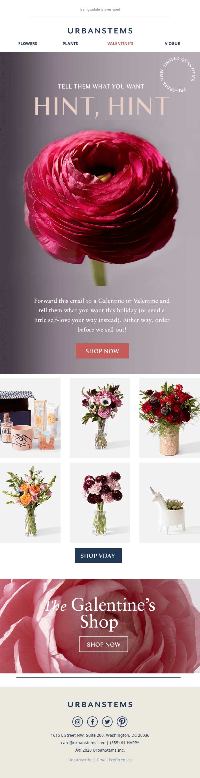 3 Valentine's Day Email Examples [Plus 101 Subject Line Ideas ...